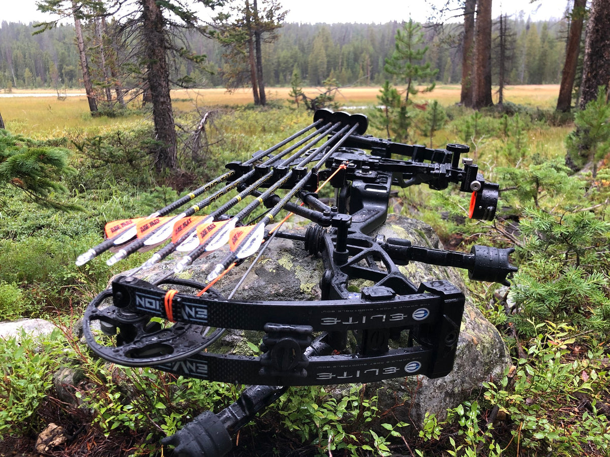 How to Choose Your First Compound Bow: A Comprehensive Guide – Badass ...